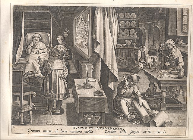 Antara Stigma dan Wabah: Sejarah Penyakit Sifilis - Wawasan Sejarah